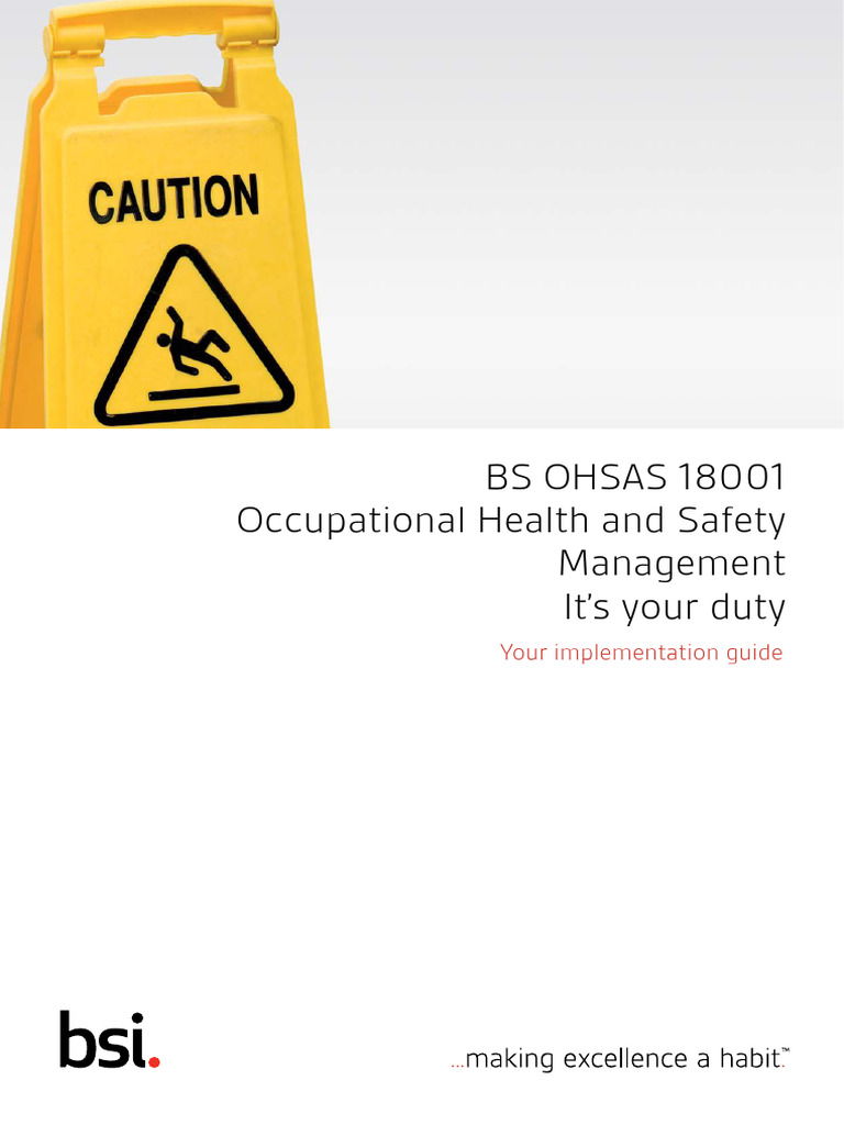 Guia Como Implantar OHSAS 18001 | PDF | Occupational Safety And Health | Risk
