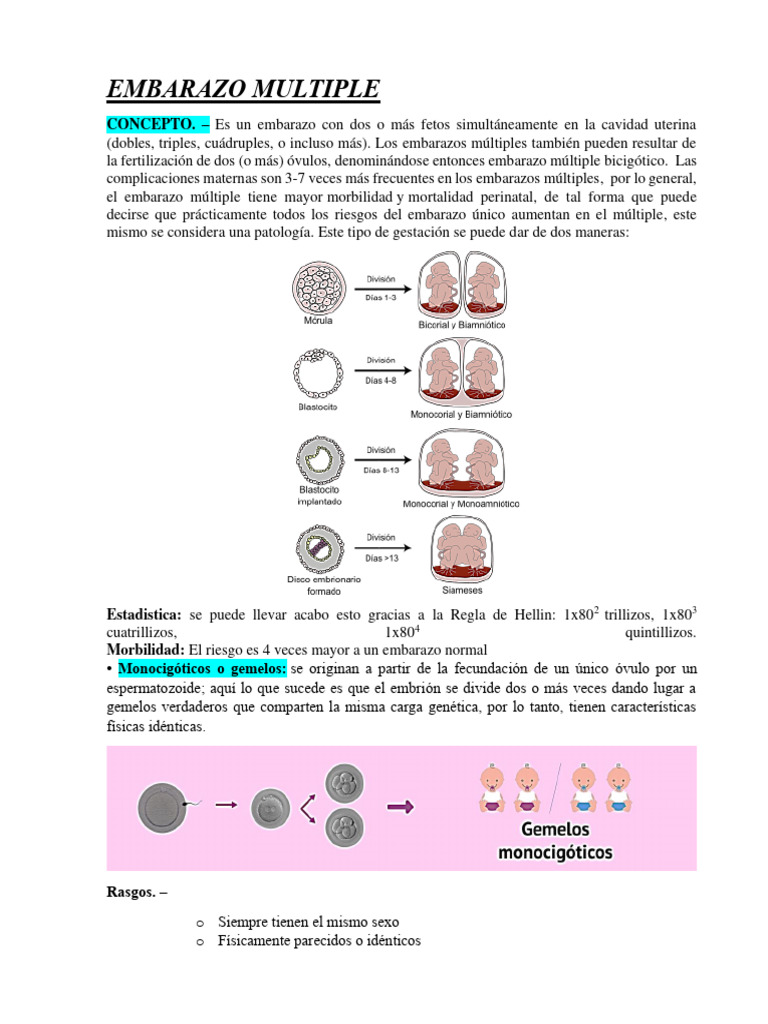Embarazo Multiple-1 | PDF | Nacimientos Múltiples | Gemelo