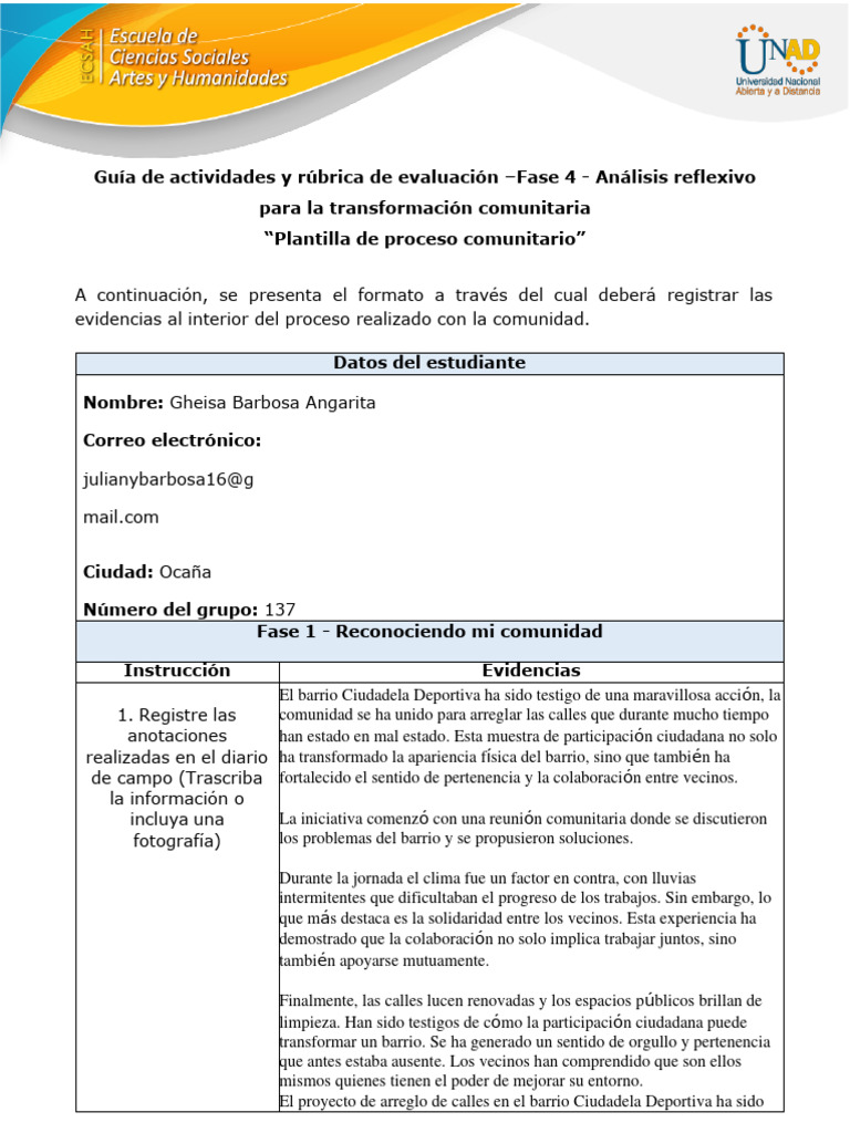 Anexo 1 - Plantilla Del Proceso Comunitario | PDF