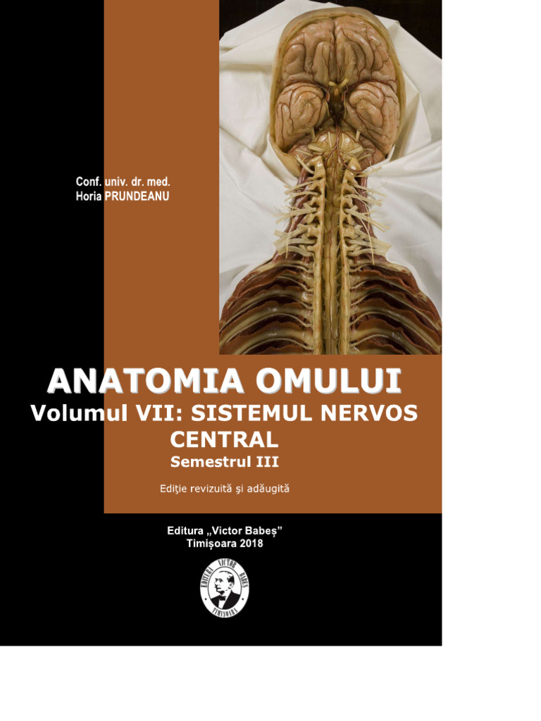 Anatomia Omului - SNC | PDF