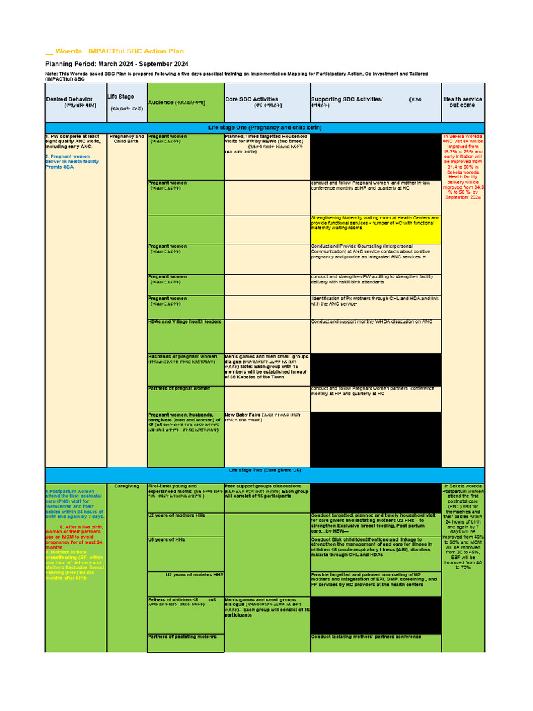 IMPACTful SBC Action Plan for Sekela Woreda | PDF | Pregnancy | Childbirth