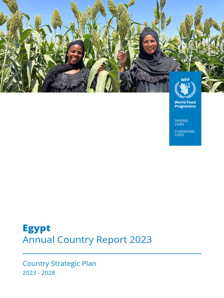 WFP 2023 Egypt Country Report Summary | PDF | World Food Programme ...