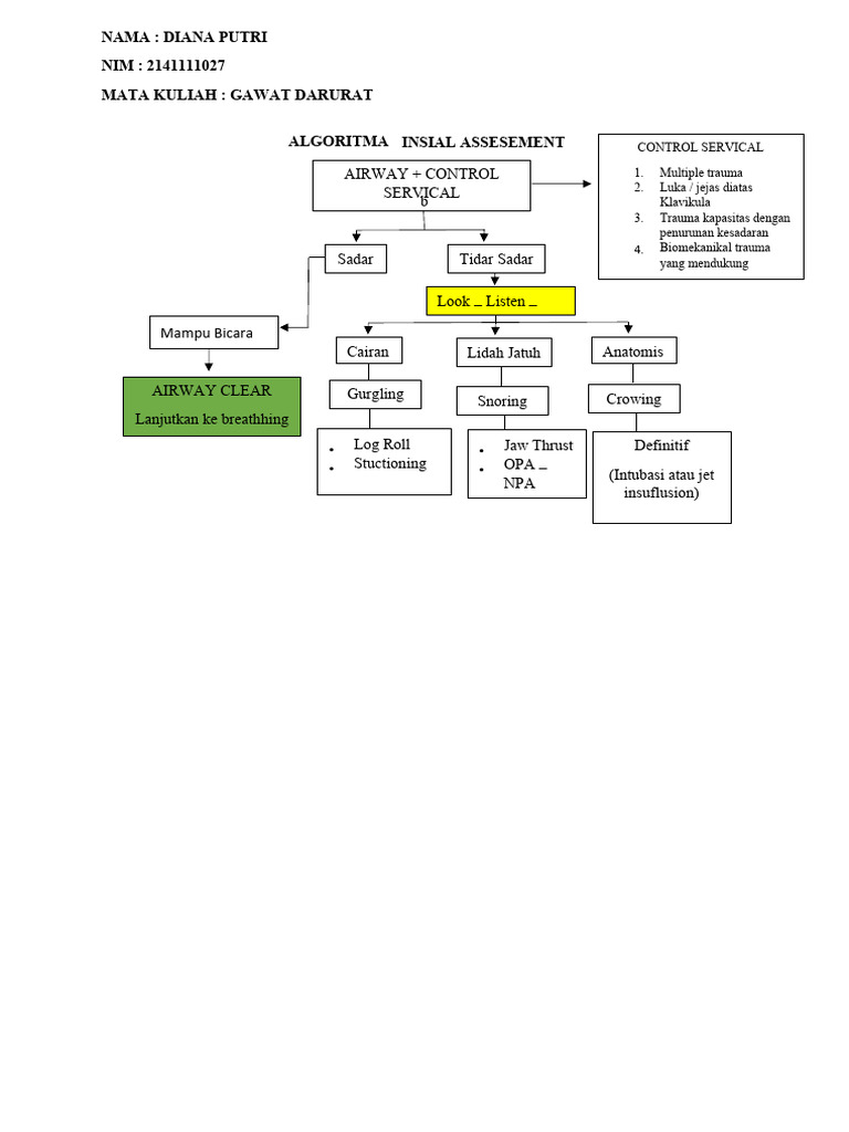 Algoritma Insial Assesement&triage Model Start&bhd Diana Putri | PDF