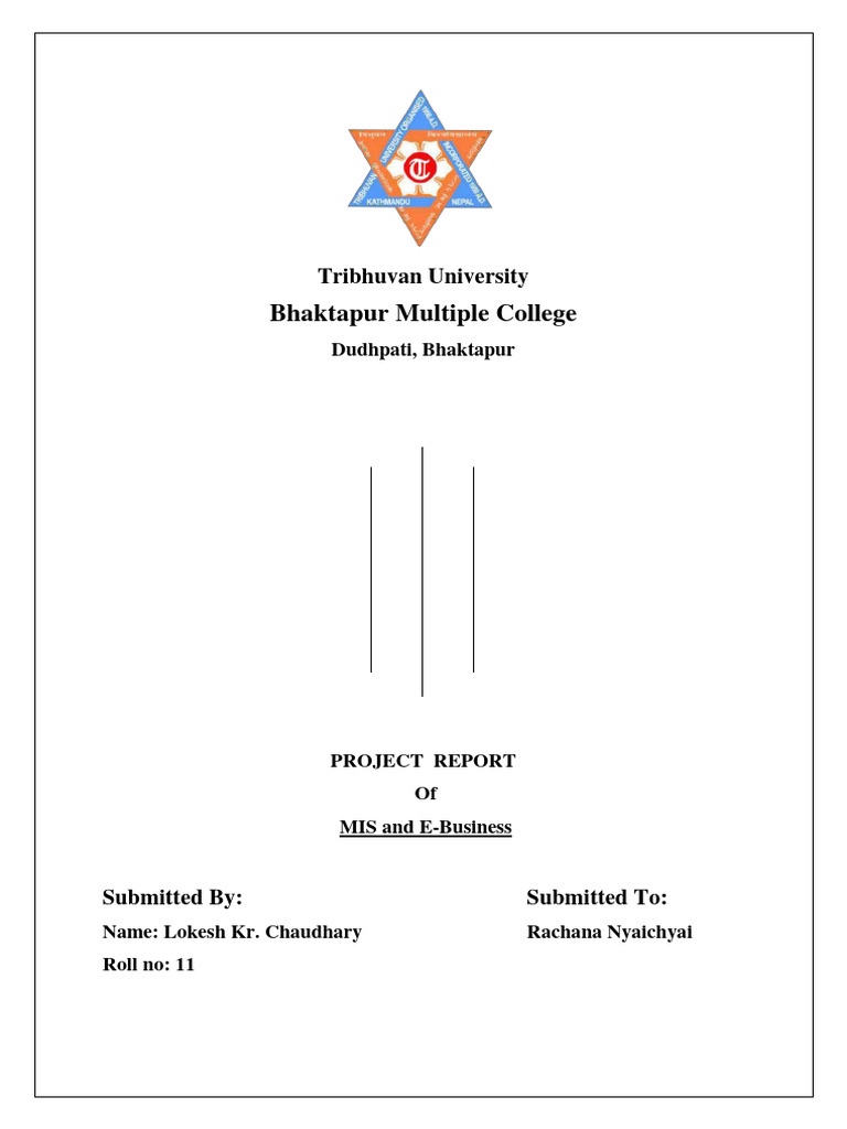 MIS Project | PDF | Internet | Computer Network
