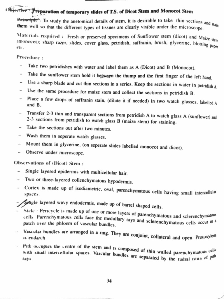 Class 11 Practical Final Term Pdf 6974