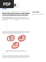 Atlas del Desarrollo Embrionario del Perro | PDF | Embrión | Procesos ...