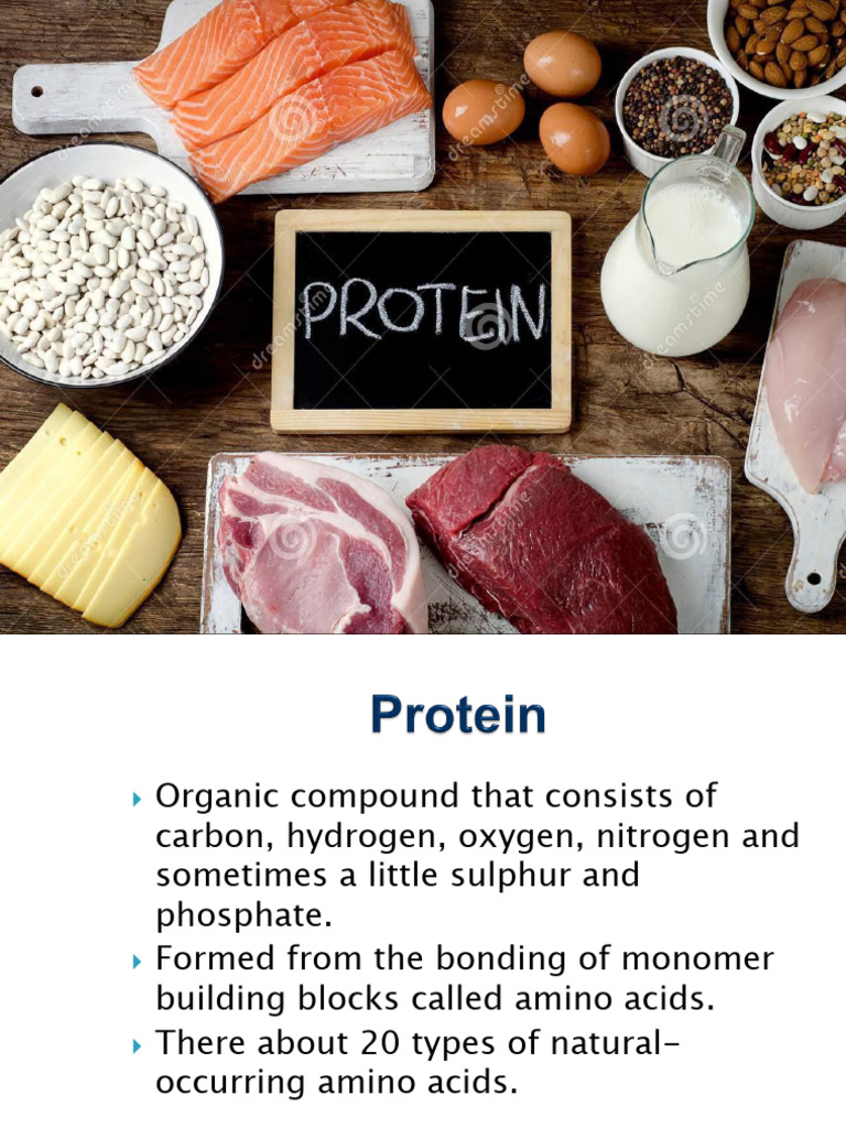 Chapter 3 Proteins | Download Free PDF | Protein Structure | Proteins