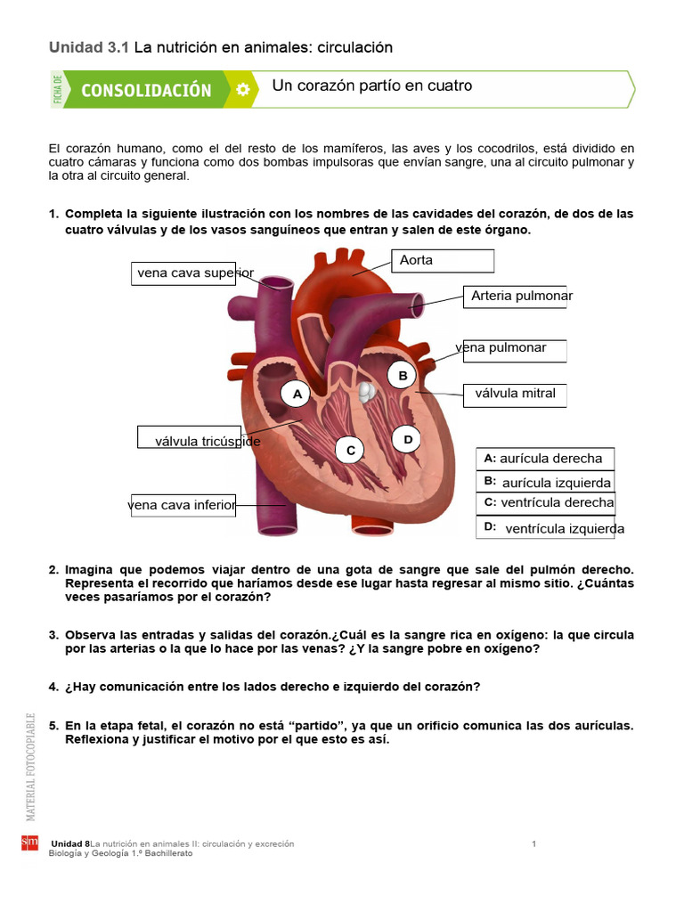 Corazón Partío en Cuatro | PDF | Clásicos