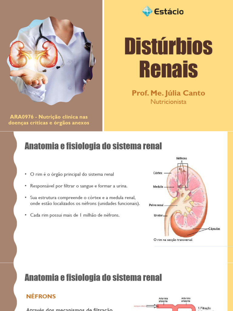 Funções e Doenças do Sistema Renal | PDF | Rim | Doença renal crônica