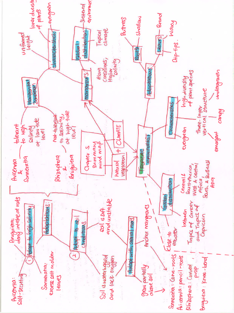 Sec 1 Chapter 5 - TRF & Mangroves Mind Map | PDF
