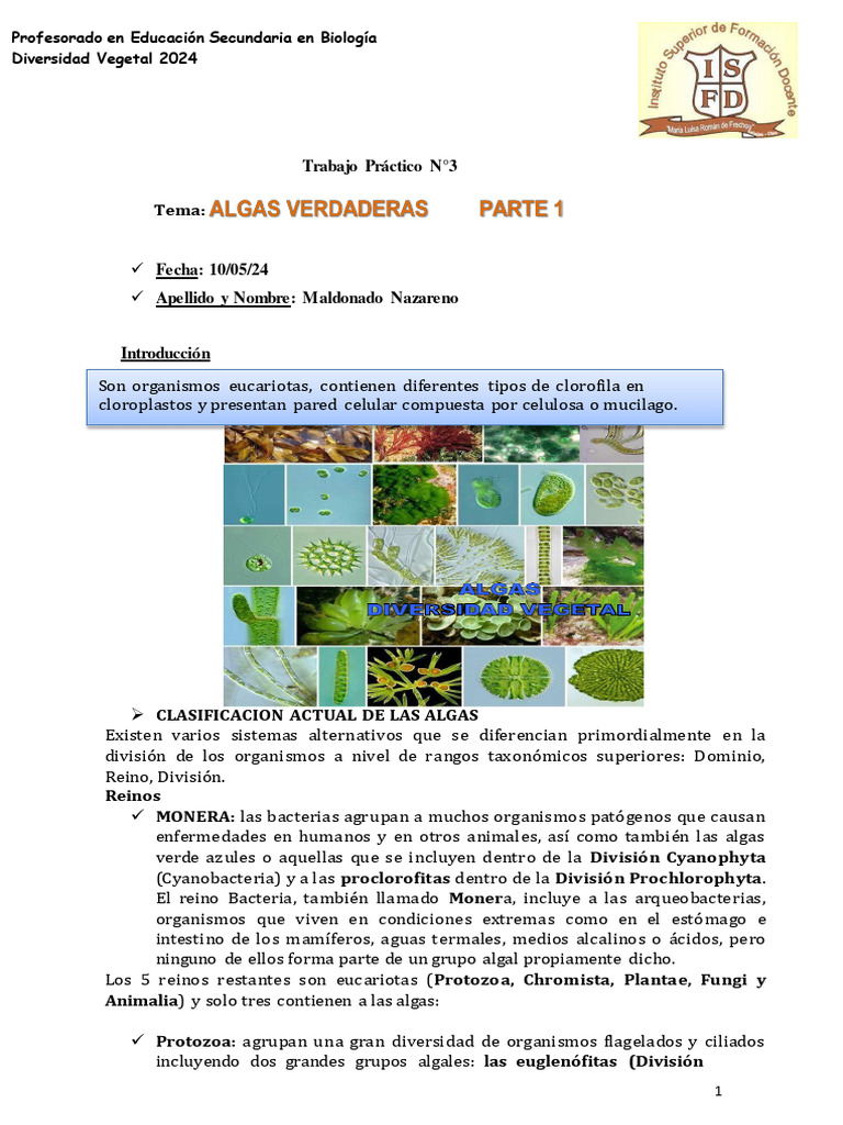 Clasificación y Morfología de Algas | PDF | Algas | Plantas