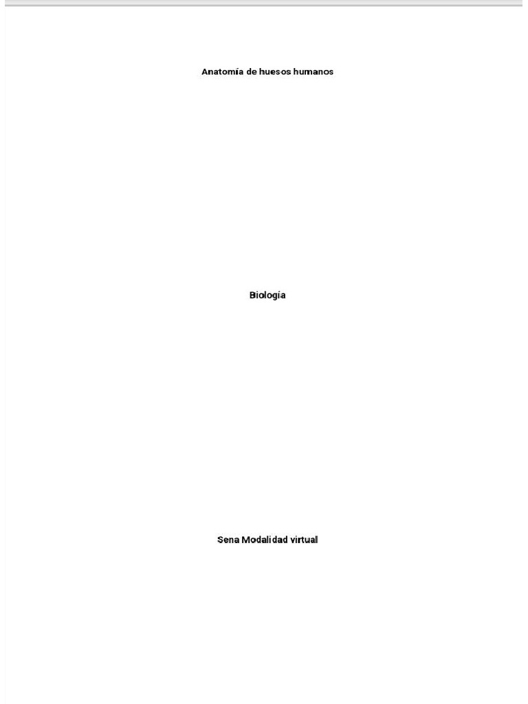 Anatomía De Huesos Pdf