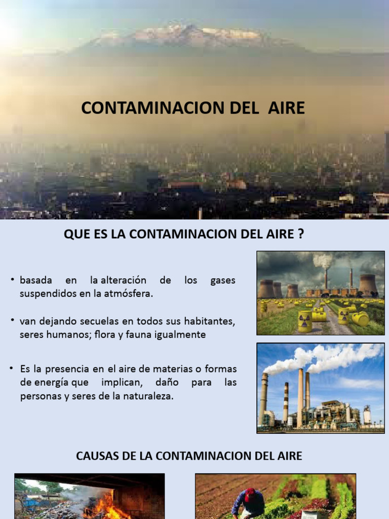 Contaminacion Del Aire | PDF