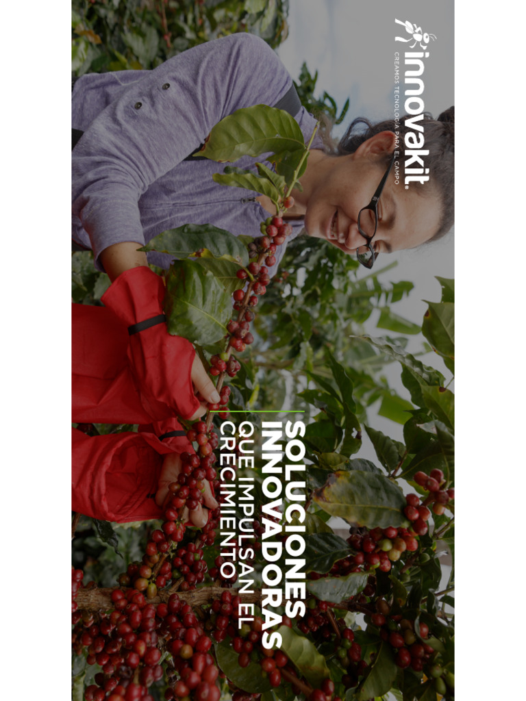Portafolio Innovakit 2022 | PDF | café | Cosecha