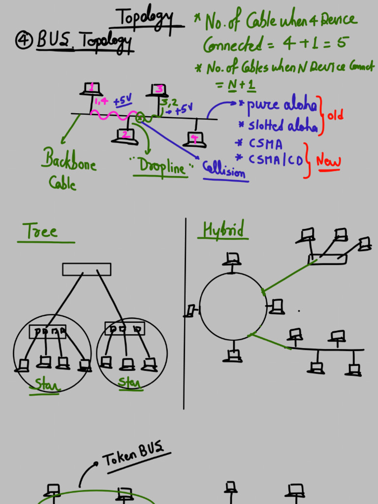 Types of Network | PDF