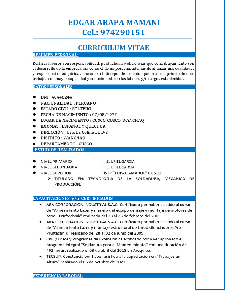 CV Edgar | PDF | Tecnología
