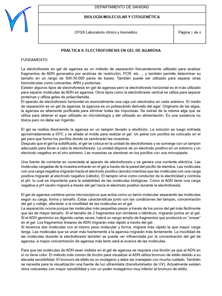 Práctica 12. Electroforesis | PDF | Electroforesis en gel de agarosa | Electroforesis