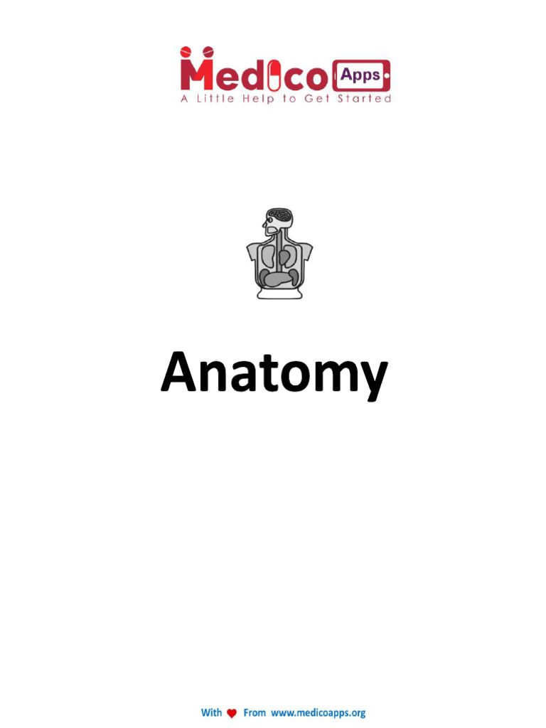 Anatomy Sample | PDF