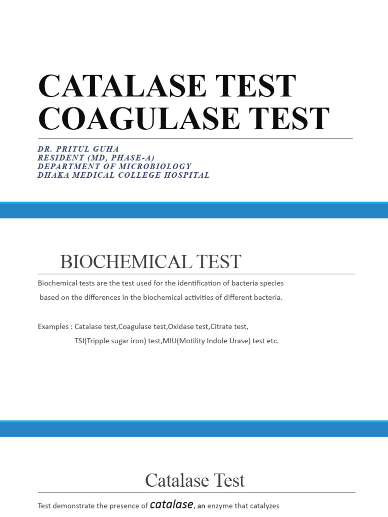 Catalase Test 112552 | PDF | Catalase | Staphylococcus