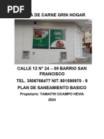 Manual Plan de Saneamiento Basico Dimf 2024 | PDF | Alimentos | Saneamiento