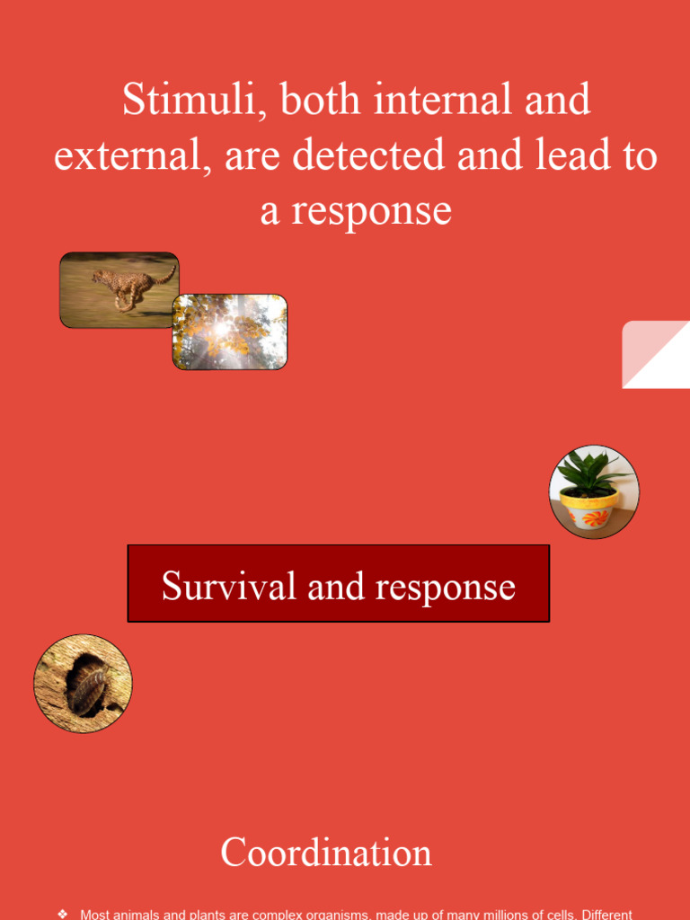Stimuli Both Internal and External Are Detected and Lead To A Response ...