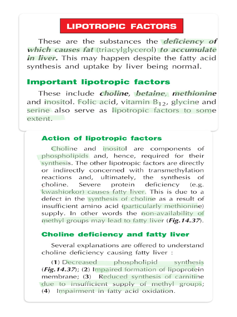 Lipotropic Factors | PDF