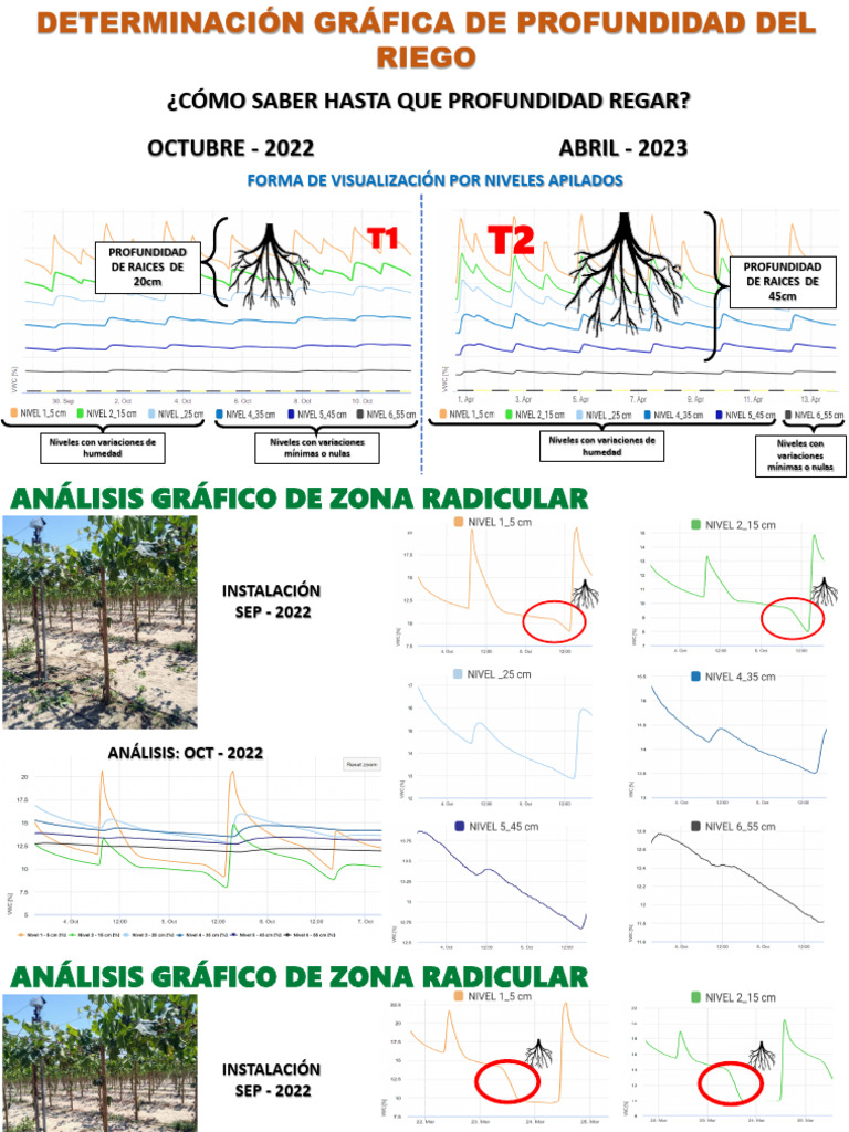 Determinaci N GR Fica de La Profundidad de Riego 1710246951 | PDF