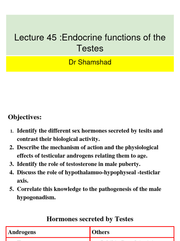 Lecture 45:endocrine Functions of The Testes: DR Shamshad | PDF ...