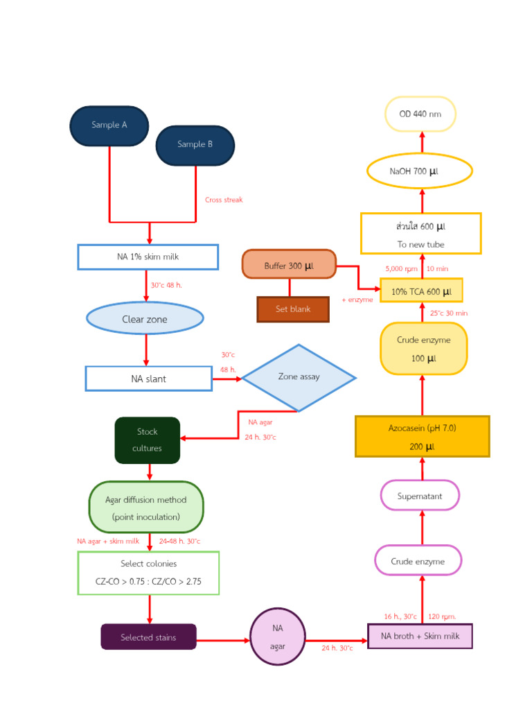 flowchart | PDF | Laboratory Techniques | Biology