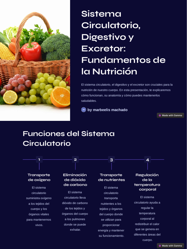Sistema Circulatorio Digestivo y Excretor Fundamentos de La Nutricion ...