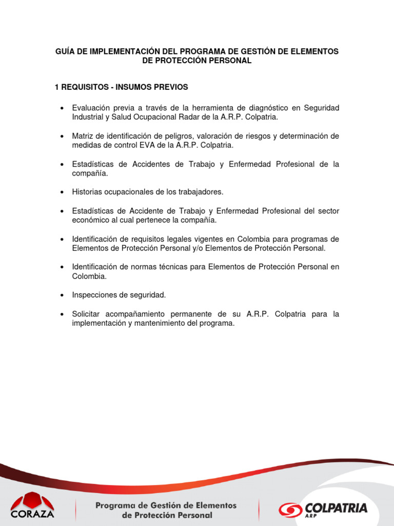 Programa de Elementos Proteccion Personal | PDF | Seguridad y salud ocupacional | Outsourcing