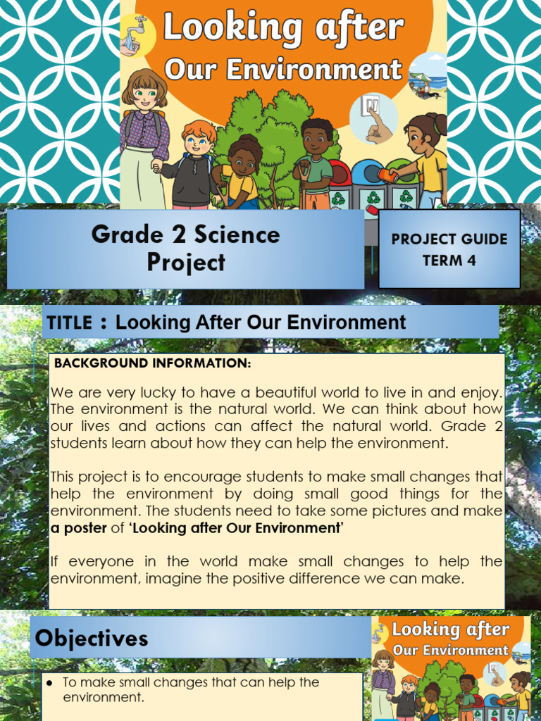 Grade 2 T4 SCI Project Guide | PDF | Cognition | Cognitive Science