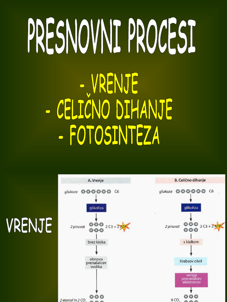 11 Presnovni Procesi | PDF