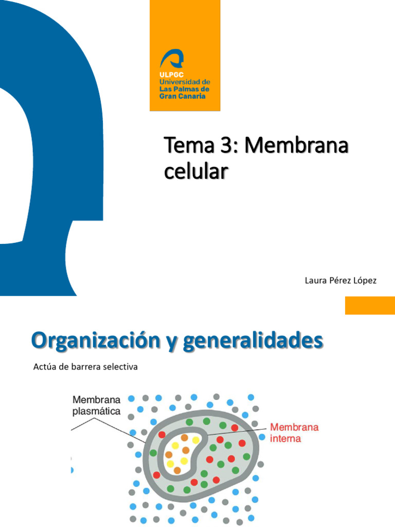 t3. Membrana Celular | PDF | Membrana biológica | Bicapa lipídica
