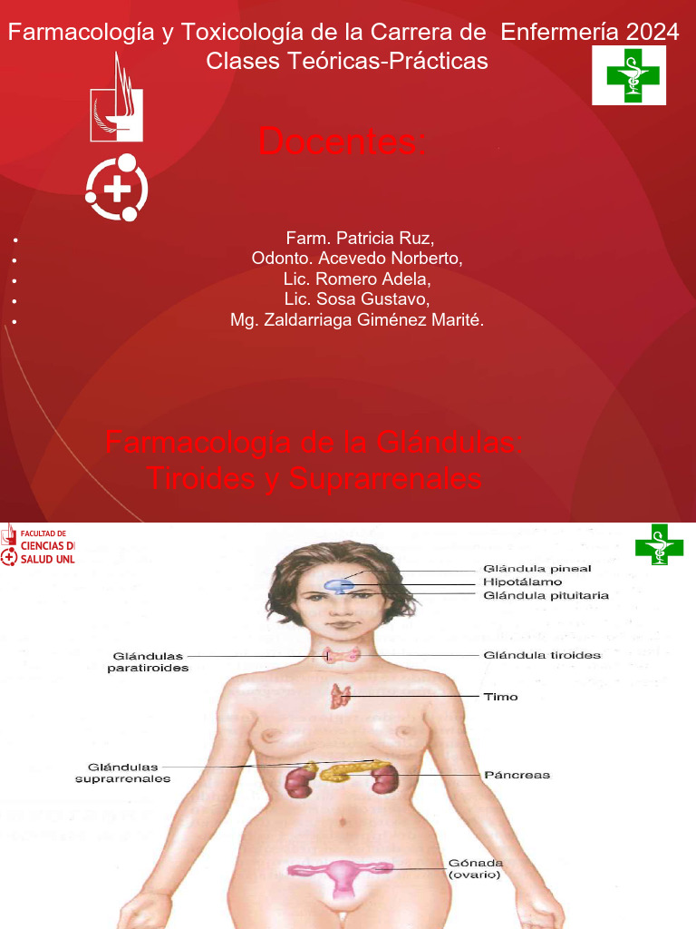 Farmaco Tiroides- Suprarrenales ultimo_0c66d0af7544d88e1a2171d306fb7e11.ppt_20240531_210506_0000 ...