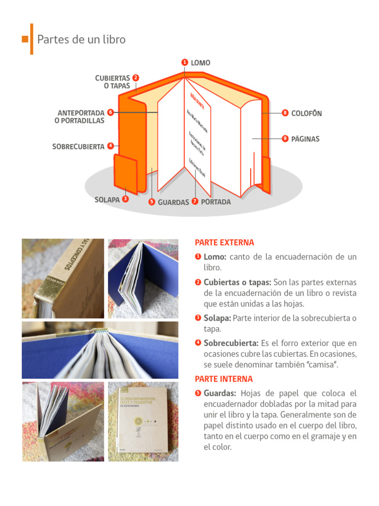 5 - Descargable - Partes de Un Libro | PDF | Libros | Encuadernación