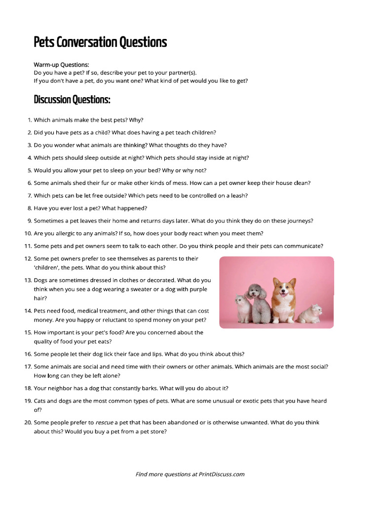 Pets Questions | PDF