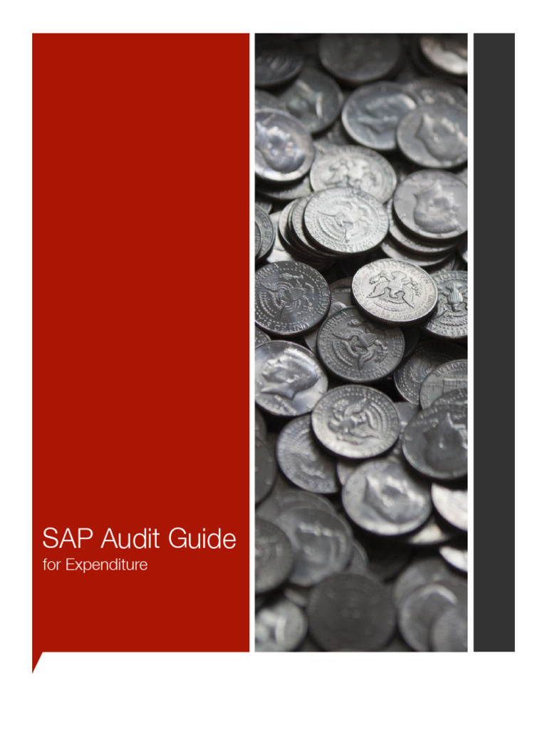 SAP Audit Guide - Expenditure - Layer Seven Security | PDF | Accounts Payable | Cheque