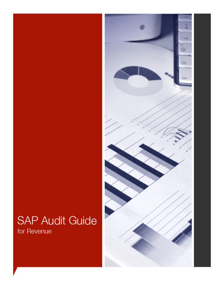 SAP Audit Guide - Revenue - Layer Seven Security | PDF | Invoice ...