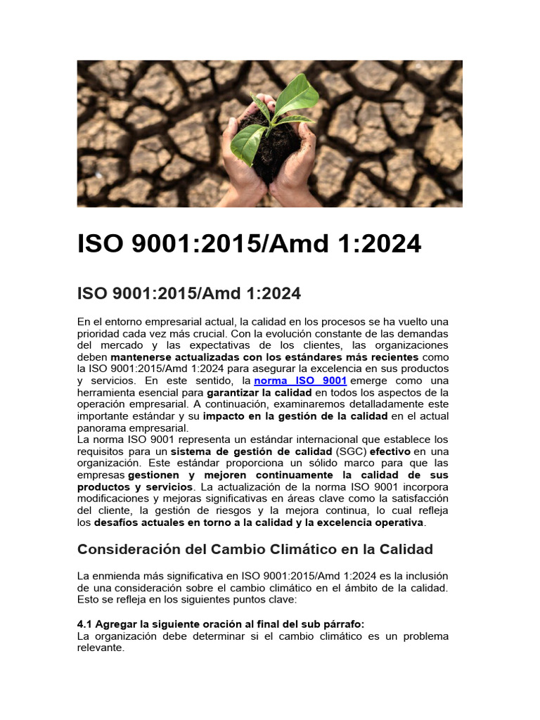 Enmienda 4.1 2024 | PDF | Calidad (comercial) | Gases de efecto invernadero
