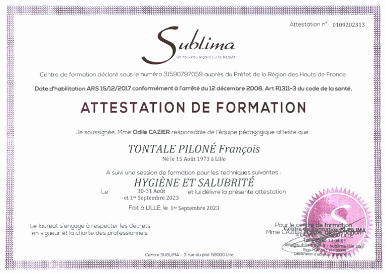 Attestation Hygiène Et Salubrité | PDF