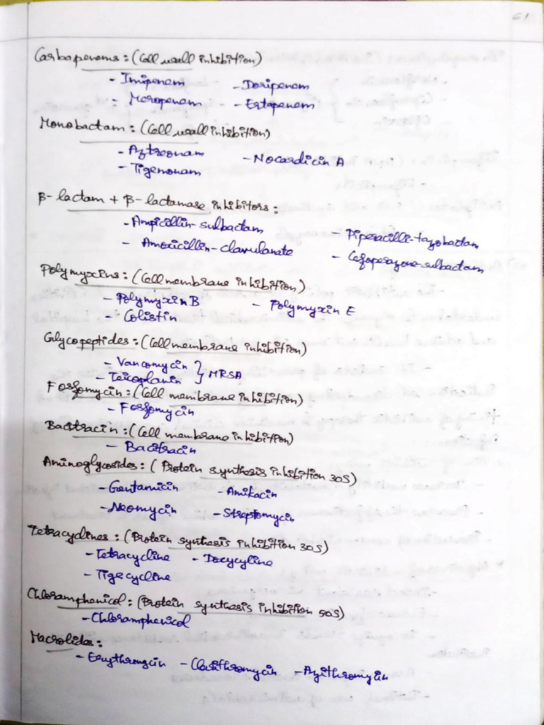 Microbiology Notes for Nursing Students | PDF