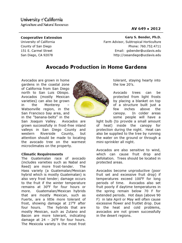 151223 | PDF | Pollination | Avocado