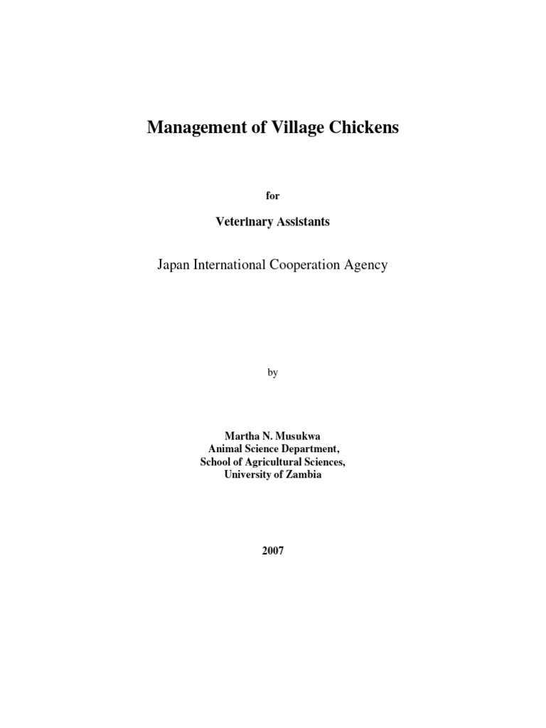 Village Chicken Management Guide | PDF