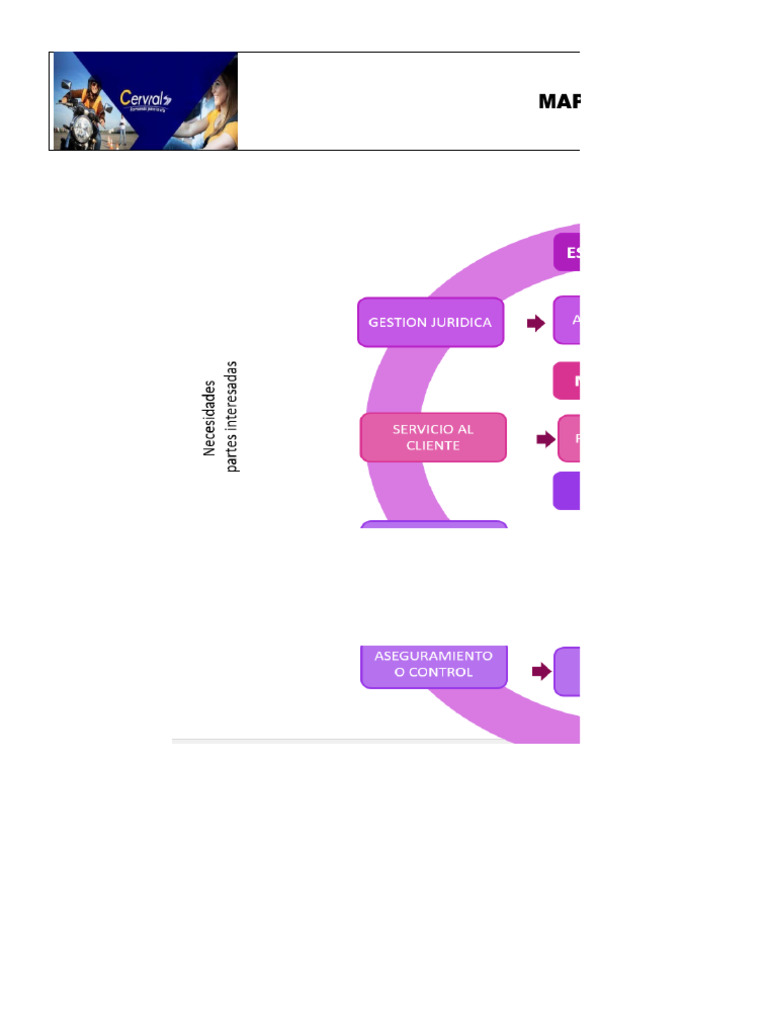 Caracterización y Flujograma Cervial | PDF | Gestión estratégica | Business
