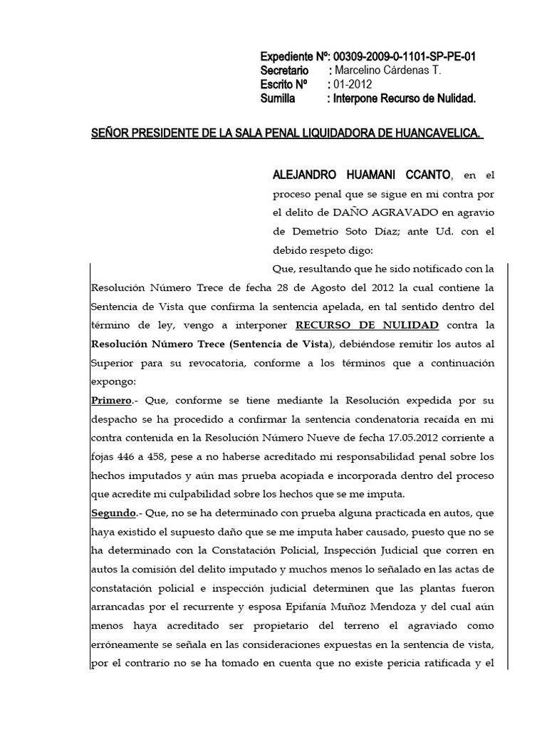 Recurso de Nulidad | PDF | Herencia | Ley común