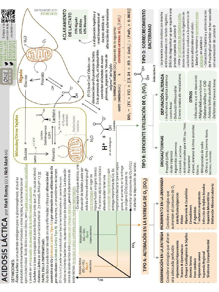 Acidosis lactica | PDF