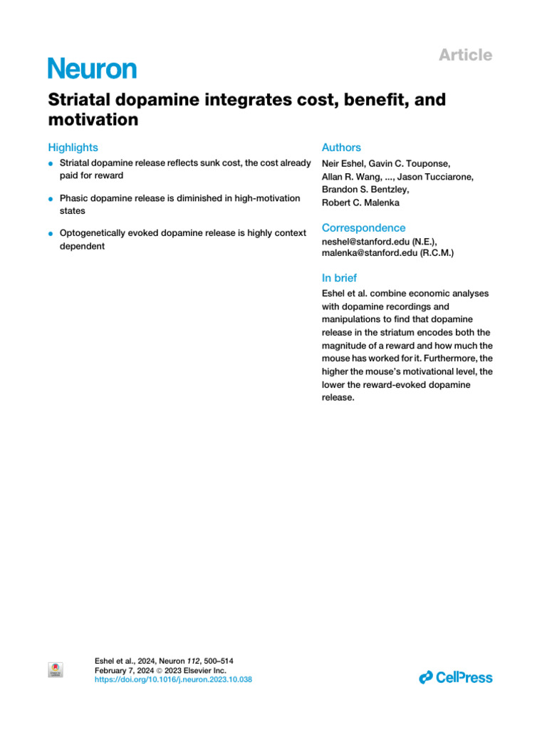 Striatal Dopamine | PDF | Reward System | Striatum
