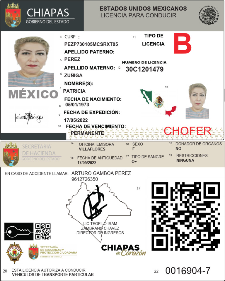 Licencia Chiapas | PDF