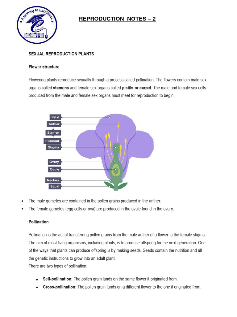 Reproduction Notes 2 | Download Free PDF | Pollination | Flowers
